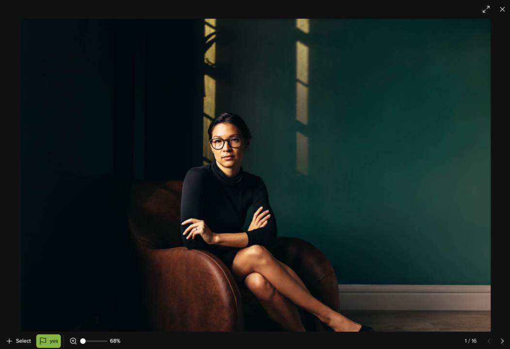 How to Use Color Flags in picdrop Galleries - FAQ